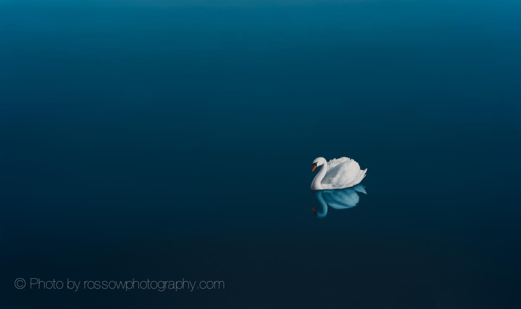 Matthew Rucker painting Jasmine - Rossow Fine Artwork Photography