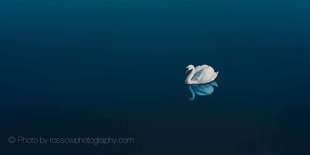 Matthew Rucker painting Jasmine - Rossow Fine Artwork Photography